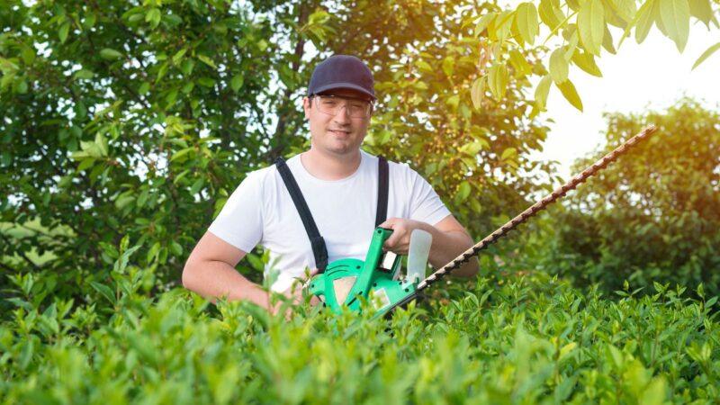 How much does tree removal cost? - Estimate Florida Consulting