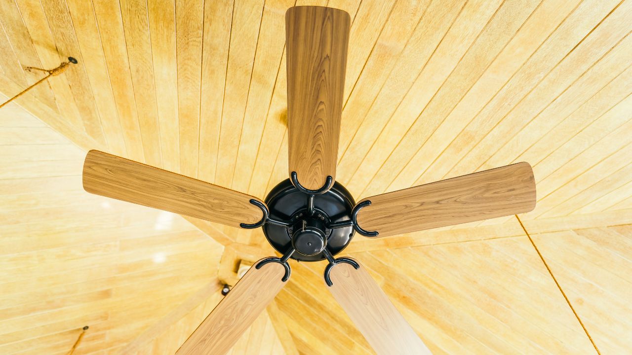 A Step-by-Step Guide to Estimating the Cost of Installing Ceiling Fans ...