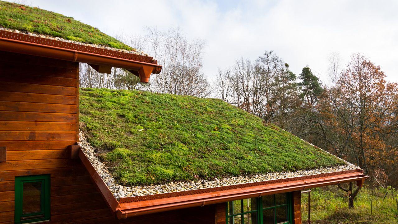 A Comprehensive Guide to Installing Green Roofs Benefits and Cost ...