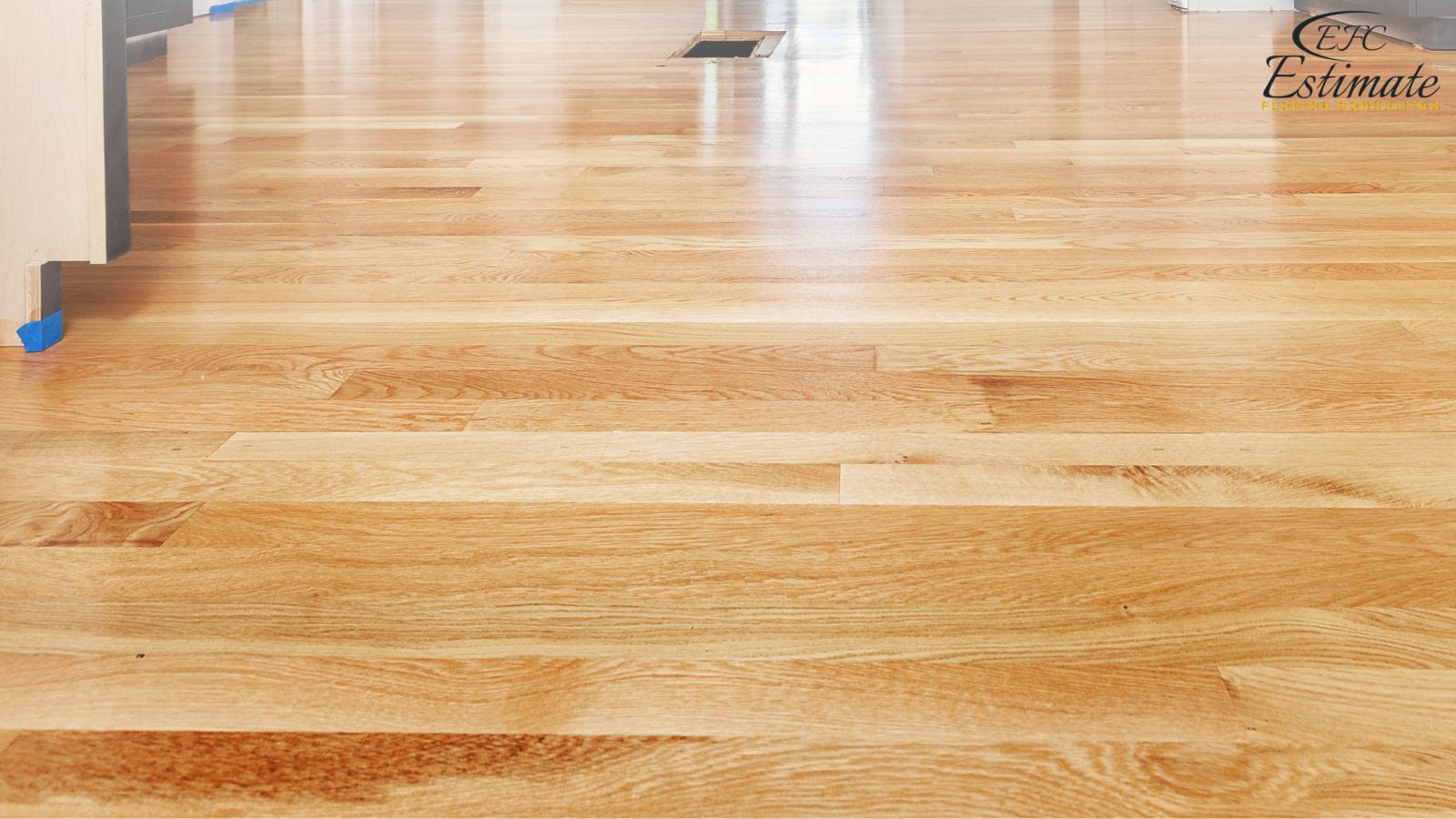 Best Flooring Options for Homes - Estimate Florida Consulting